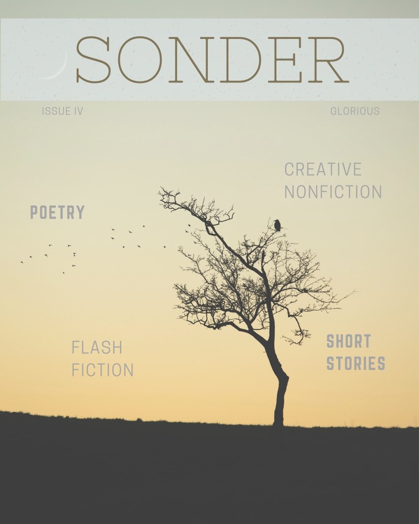 Issue IV Cover Reveal! - Sonder Magazine